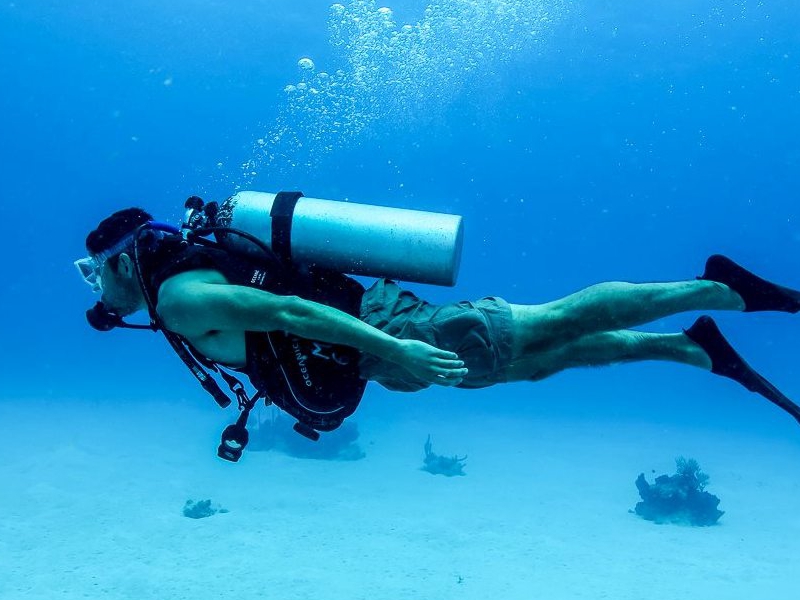 Sydney Trip Planner | Personalised Travel Itineraries | Traveloris