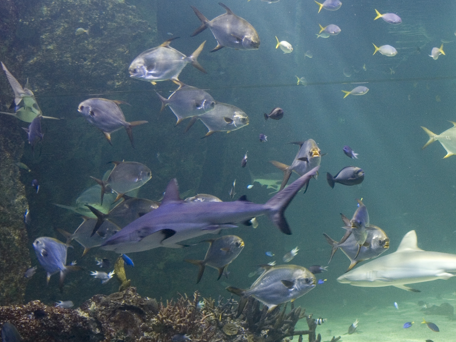 Sydney Trip Planner | Personalised Travel Itineraries | Traveloris